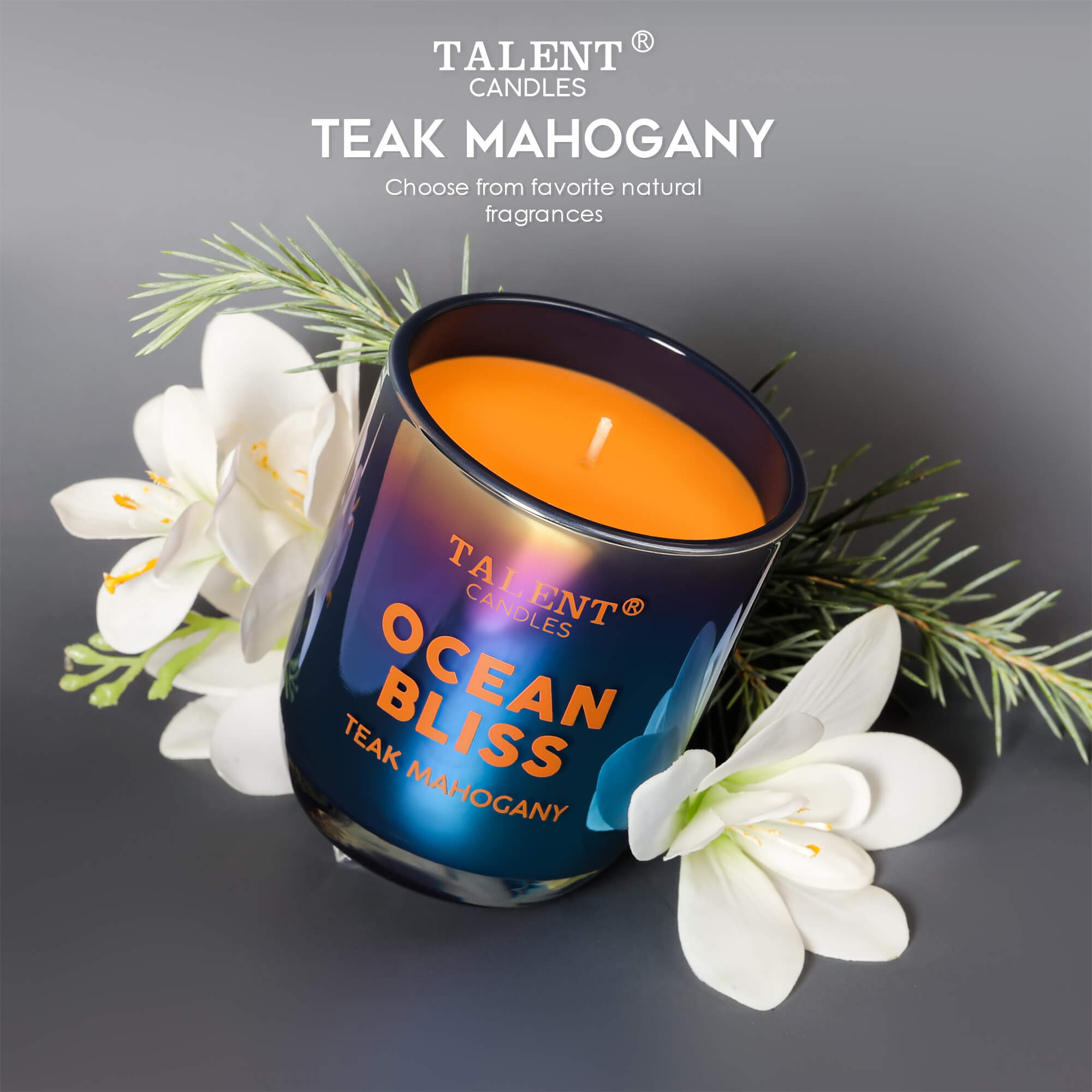 TEAK MAHOGANY | TALENT CANDLES Strong Scented Candle, Natural Soy ...
