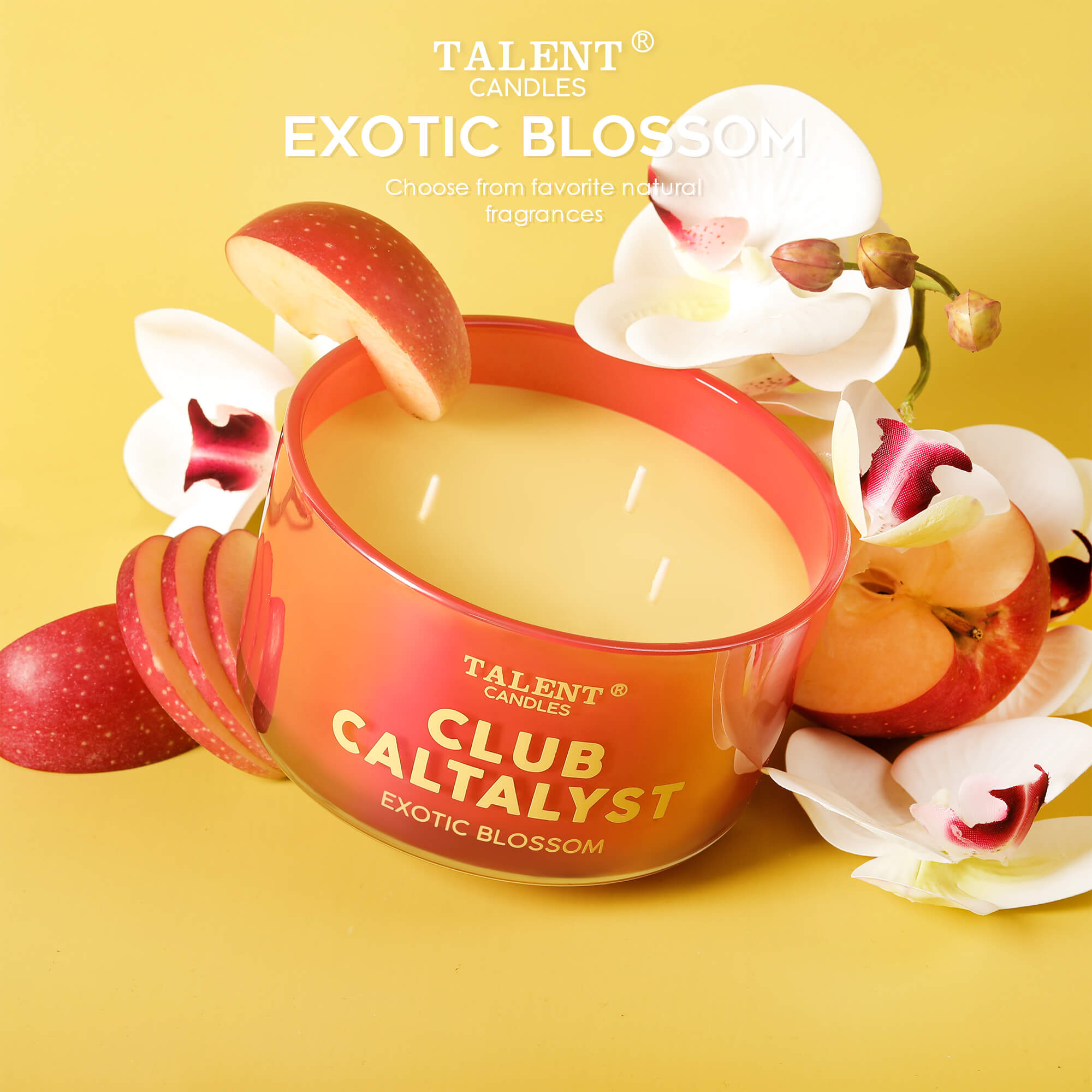 EXOTIC BLOSSOM | TALENT CANDLES Scented Candles for Home - Natural Soy ...